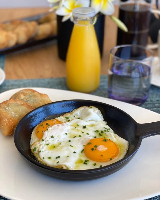 All About Eggs :: gastronomicon